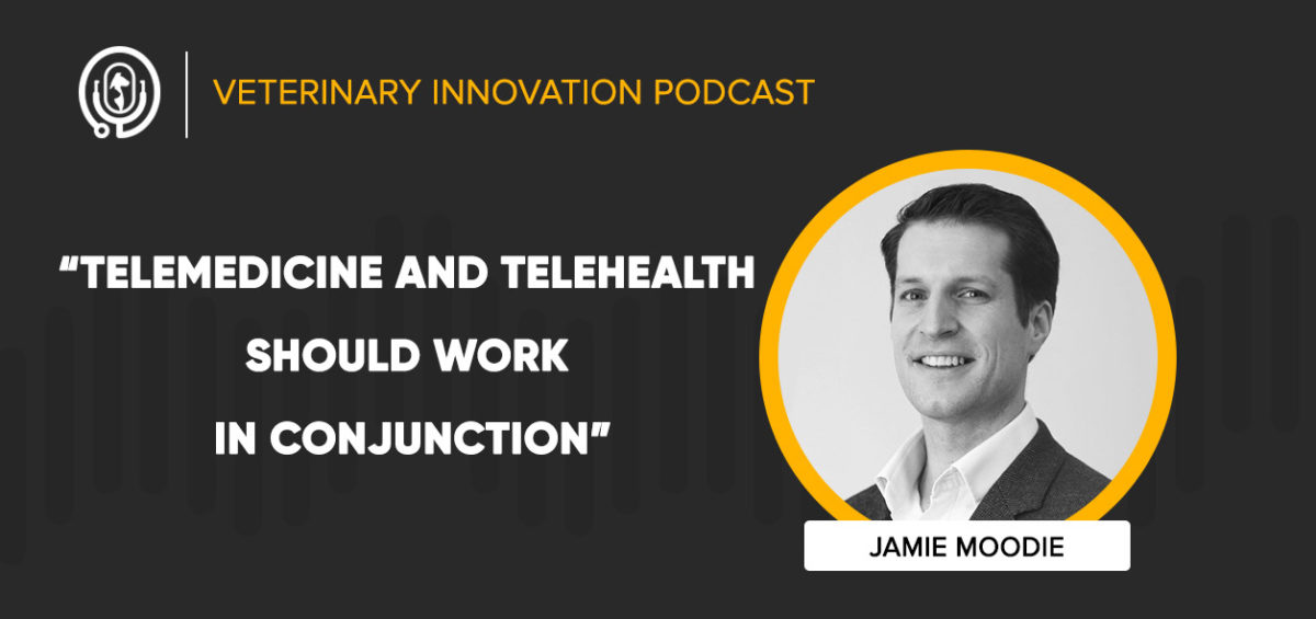 Telehealth in veterinary as a way to alleviate frustration