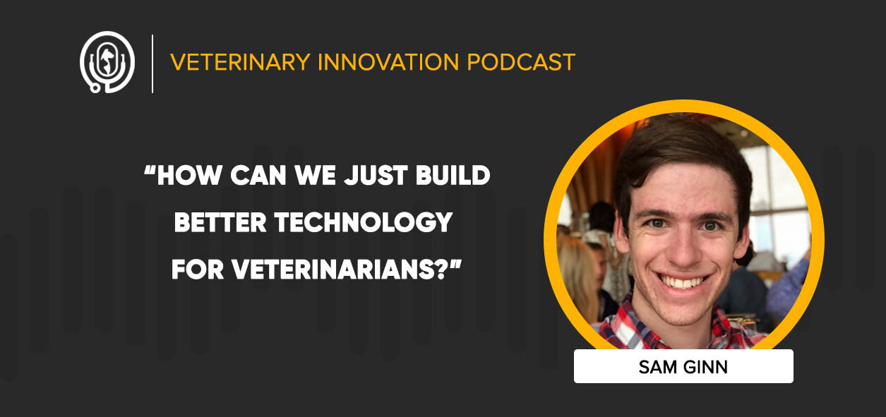 How to build a better PMS for veterinary clinic from scratch