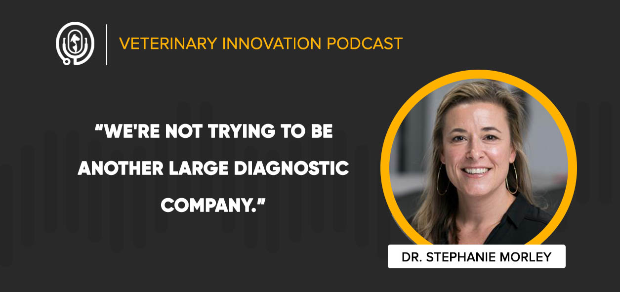 The Entrepreneur’s Journey: Stay innovative in veterinary