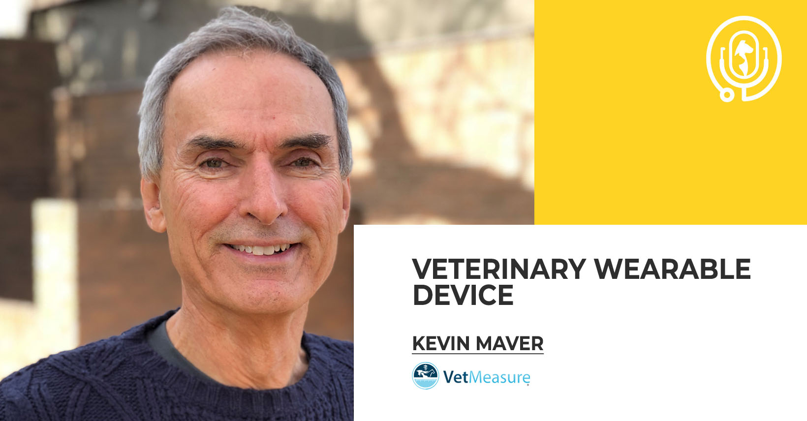 Wearable Devices in the Veterinary Field