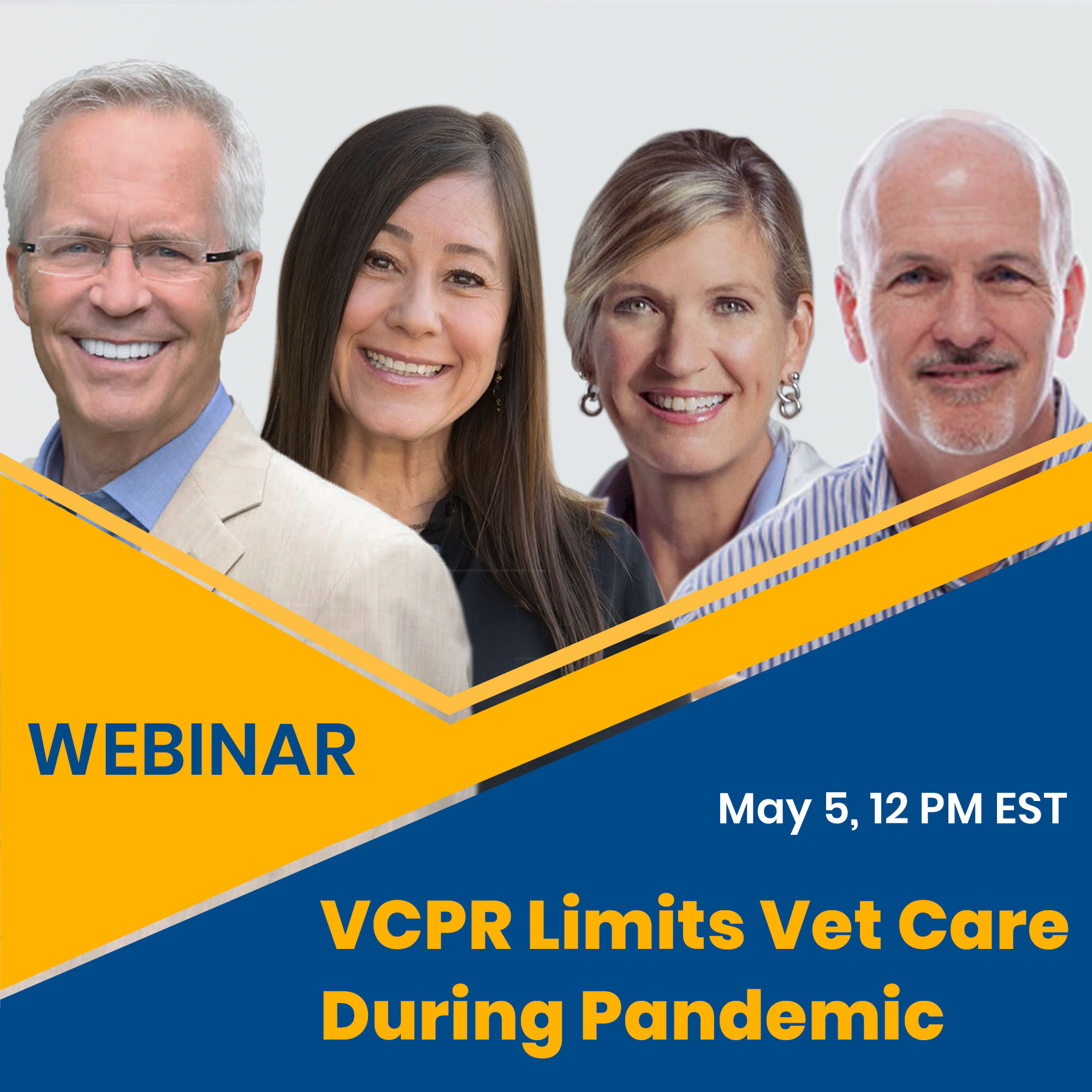 Veterinary Innovation Podcast - Webinars