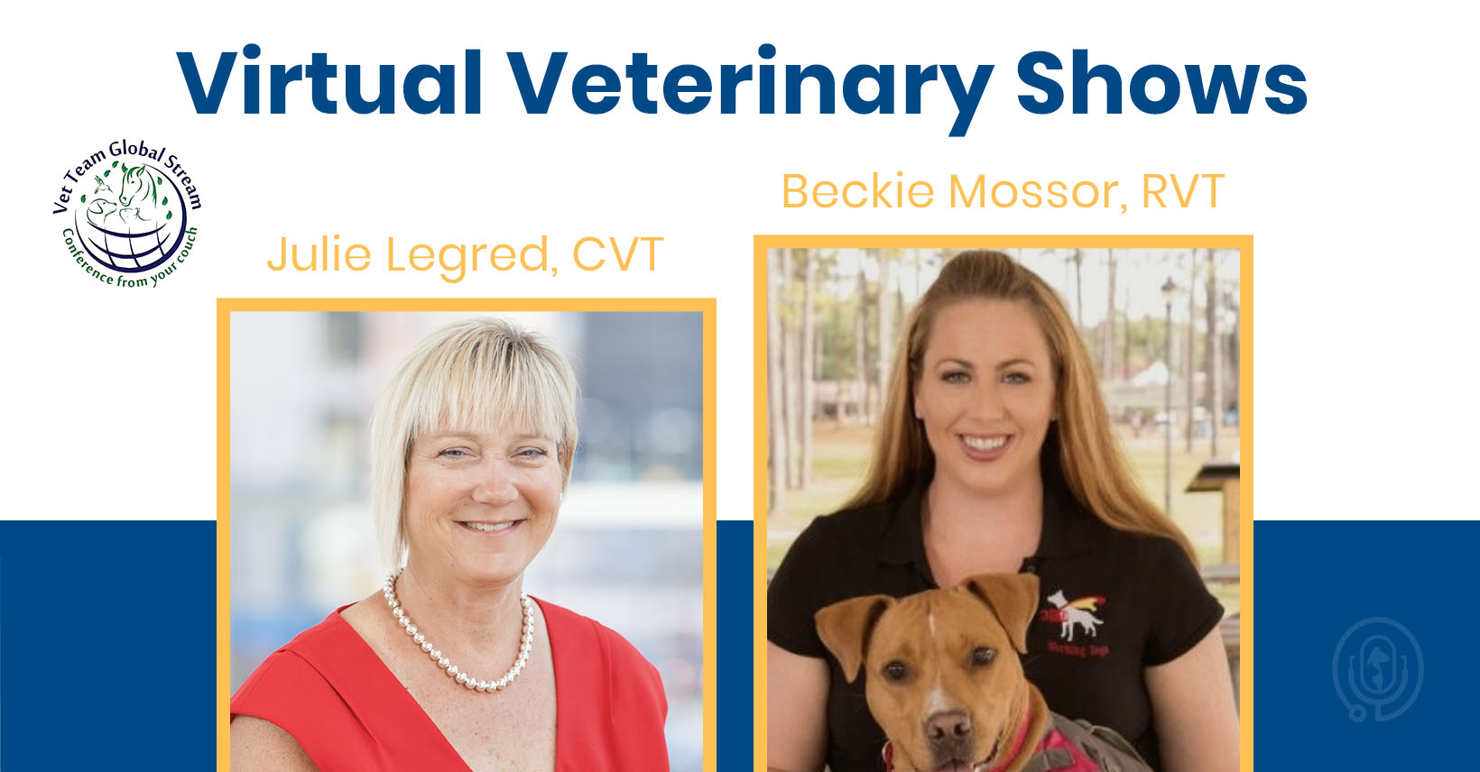Virtual Veterinary Shows - Veterinary Innovation Podcast