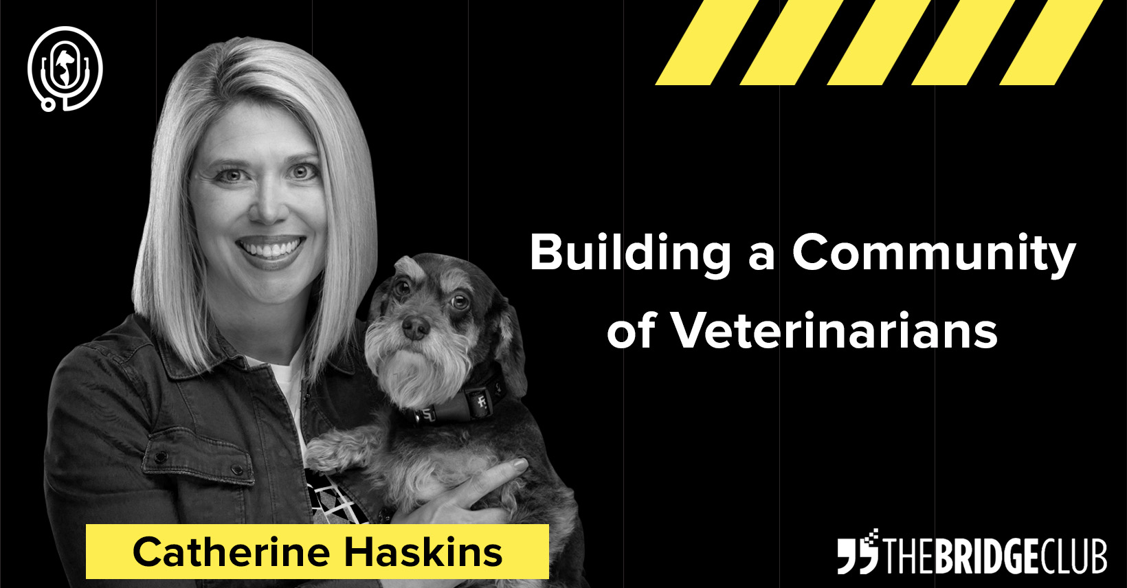 Building a Community of Veterinarians