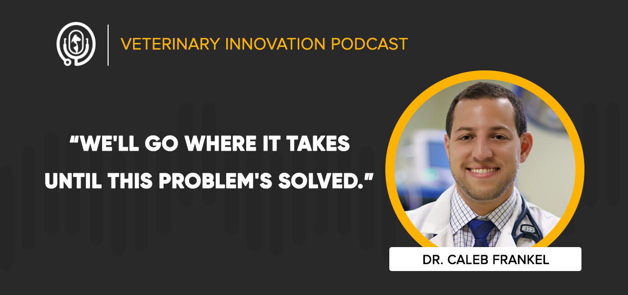 Veterinary workflow optimization and the importance of user experience