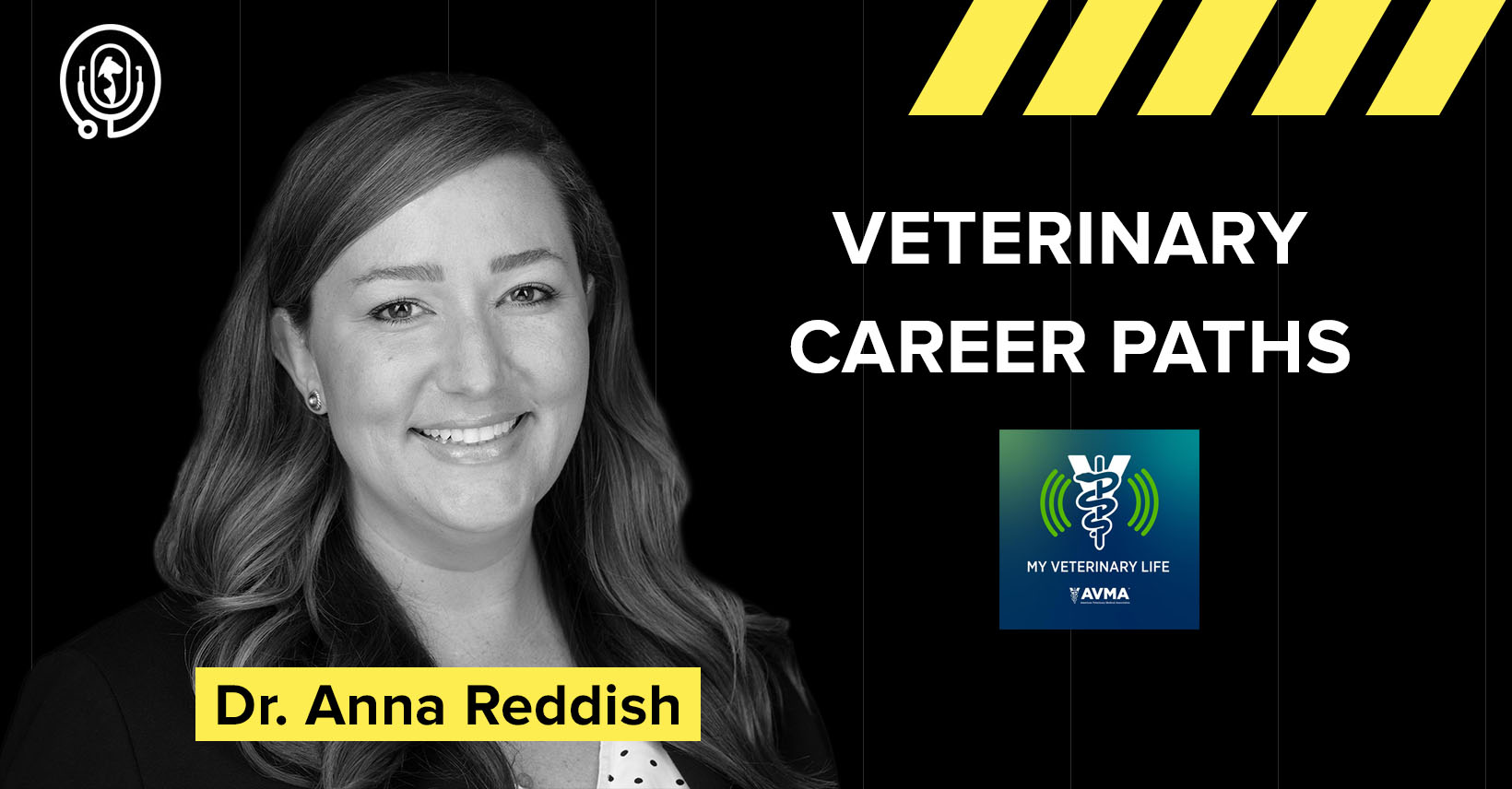Veterinary Career Paths