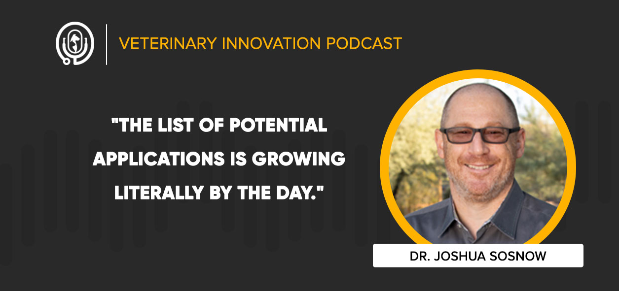 CBD in Veterinary Medicine