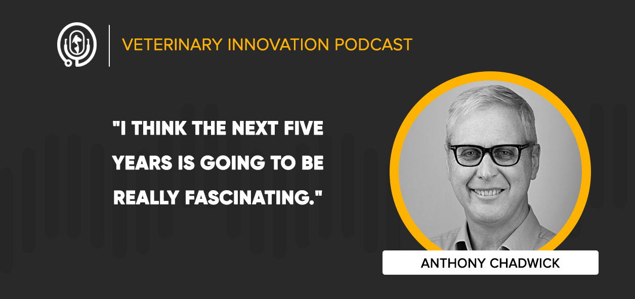 21st Century Veterinary Education