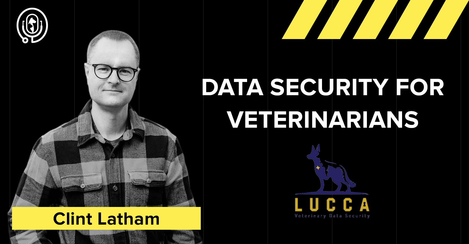Data Security for Veterinarians