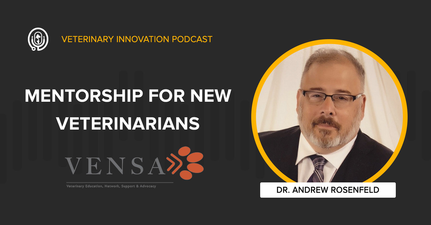 Mentorship for New Veterinarians