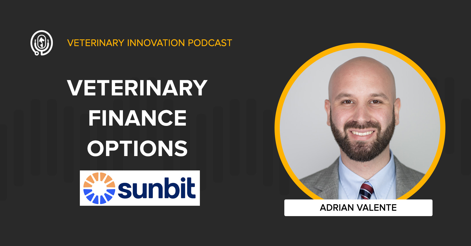 Veterinary Finance Options