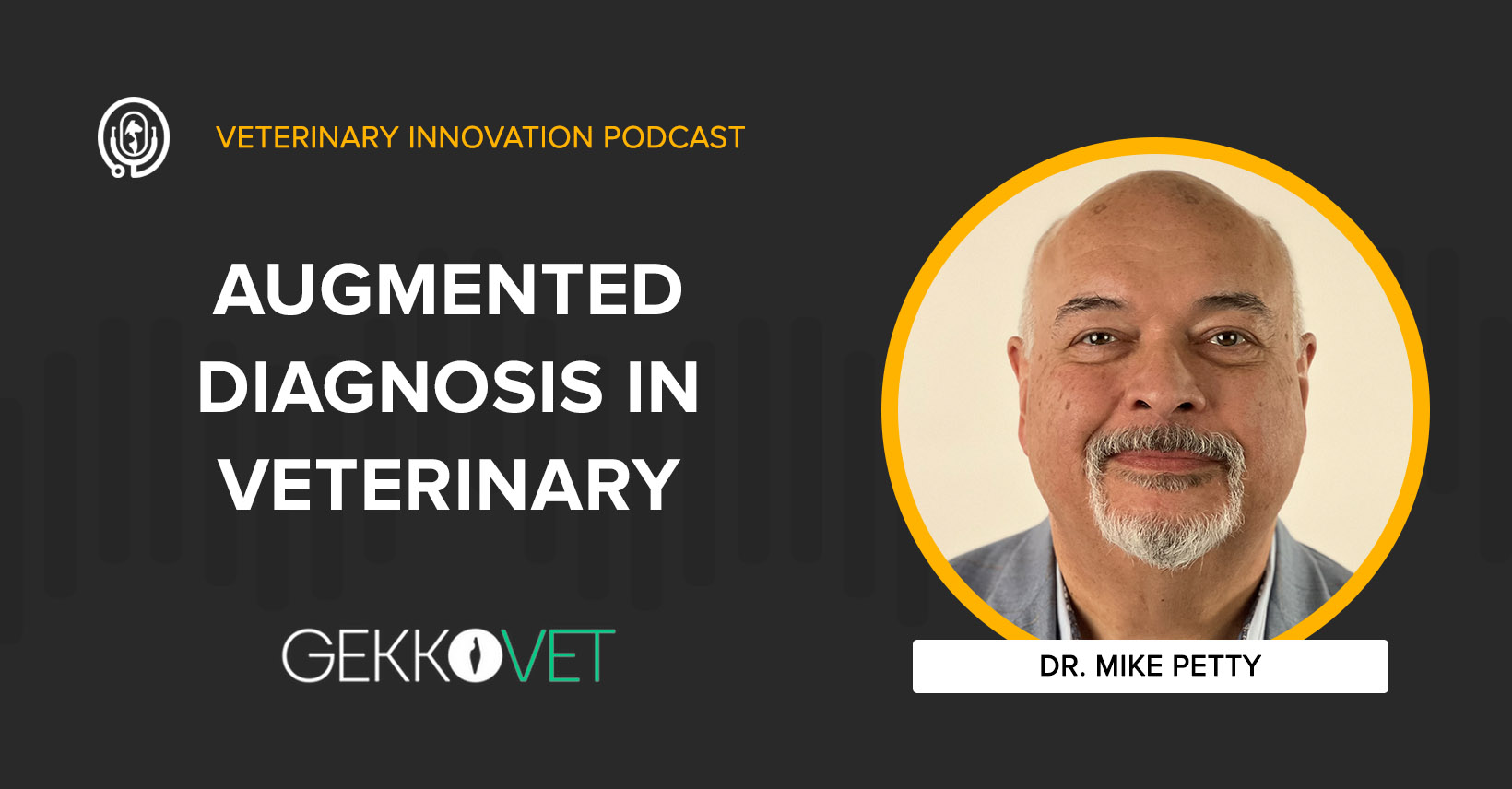 Augmented Diagnosis in Veterinary Medicine