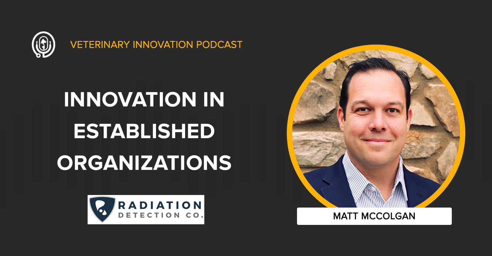 Innovation in Established Organizations