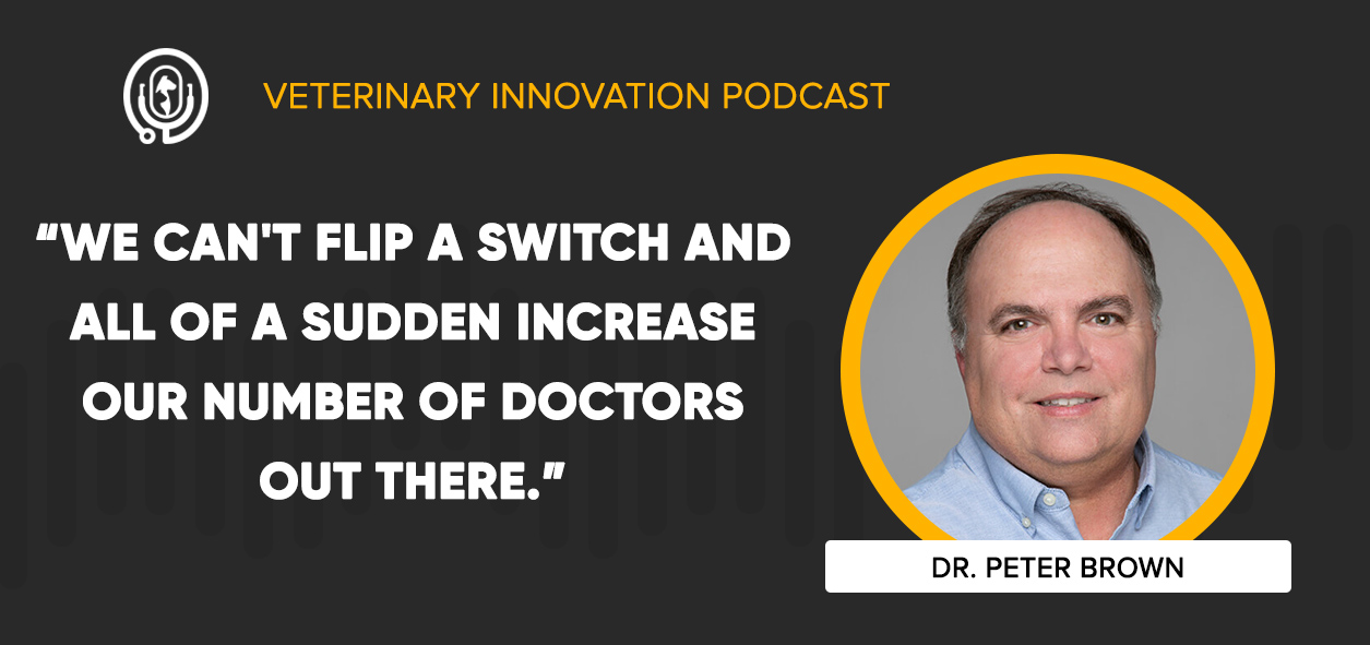 Hospitality Skills in Veterinary Clinics