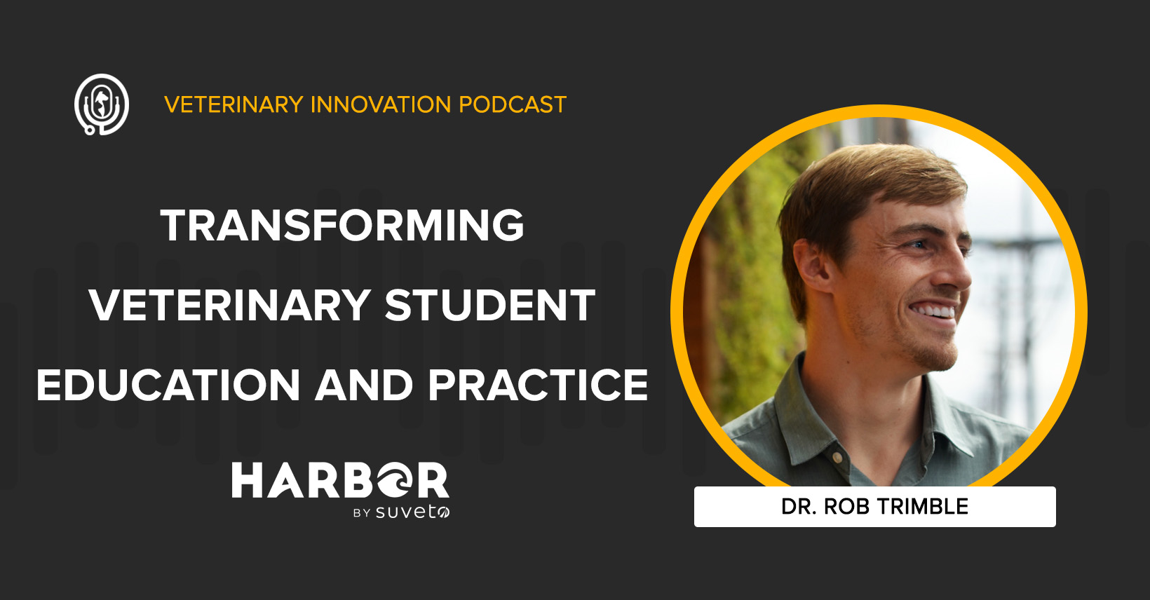 Transforming Veterinary Student Education and Practice