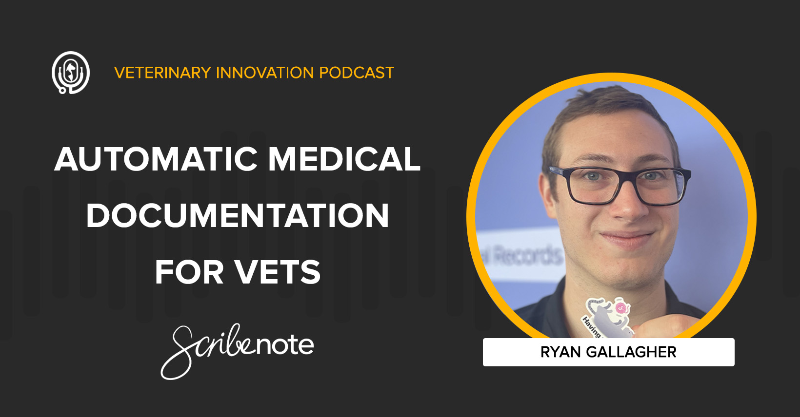 Automatic Medical Documentation for Vets