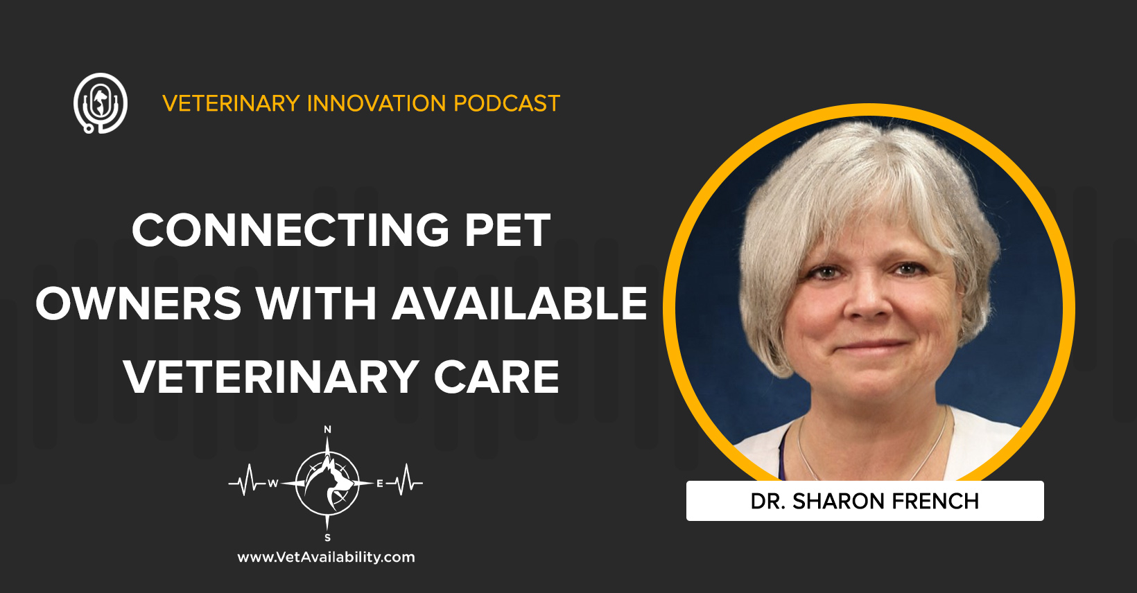 Connecting Pet Owners with Available Veterinary Care