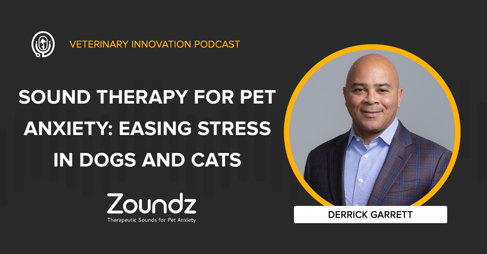 Sound Therapy for Pet Anxiety: Easing Stress in Dogs and Cats
