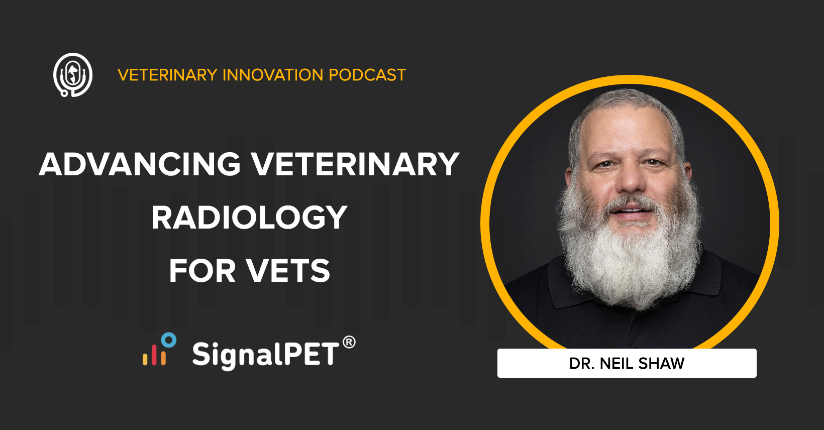 Advancing Veterinary Radiology for Vets
