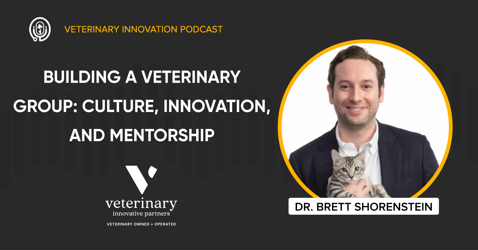 Building a Veterinary Group: Culture, Innovation, and Mentorship