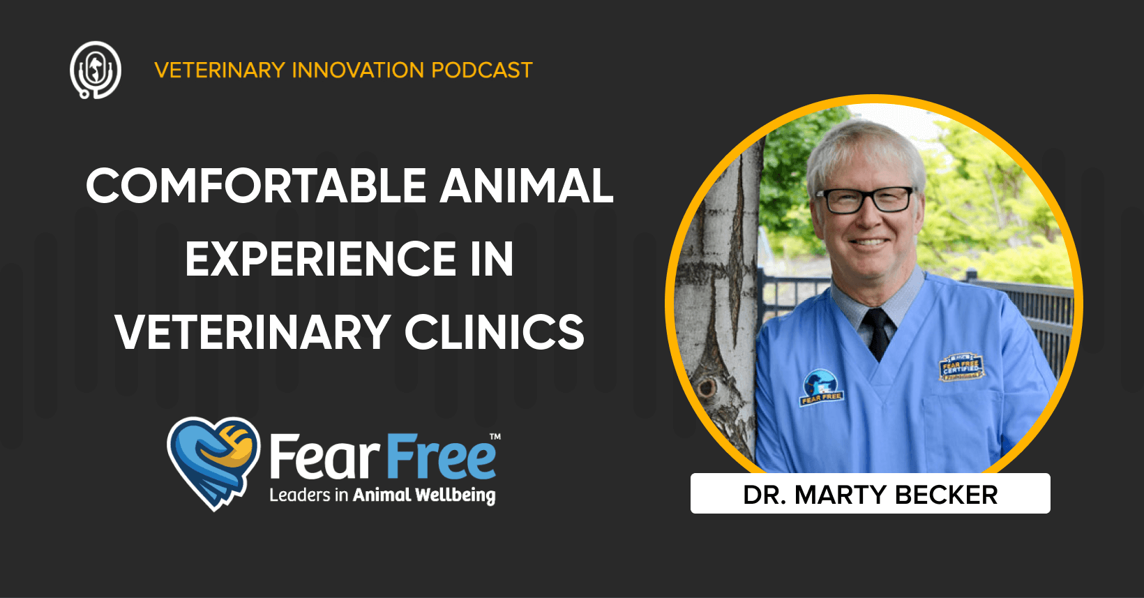 Comfortable Animal Experience in Veterinary Clinics