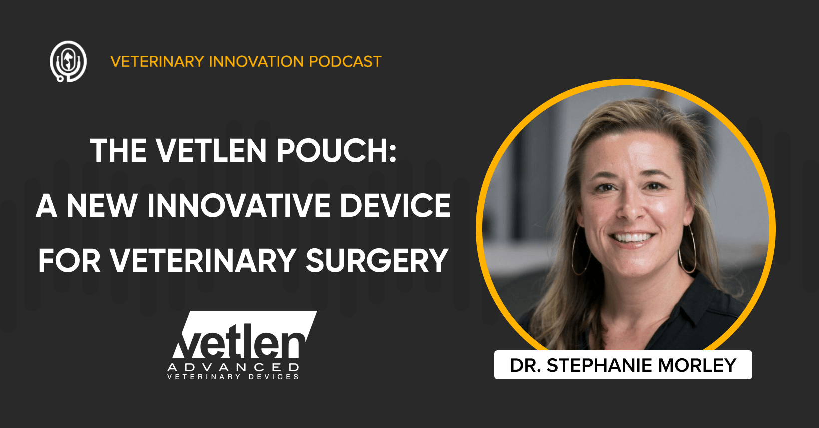 The Vetlen Pouch: A New Innovative Device for Vet Surgery
