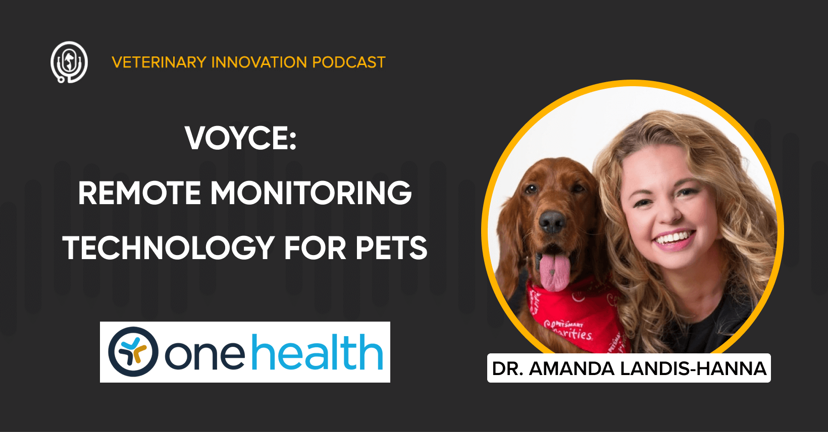 Voyce: Remote Monitoring Technology for Pets