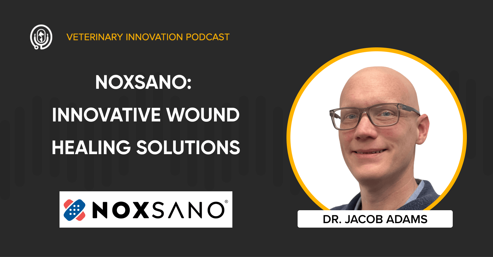Noxsano: Innovative Wound Healing Solutions