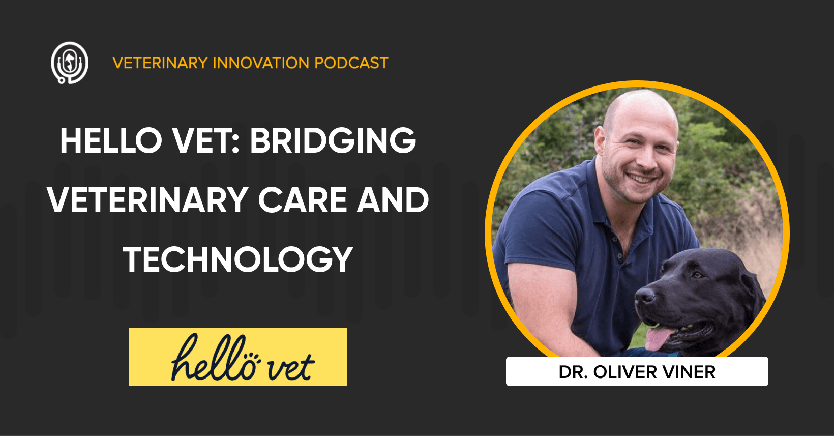 Hello Vet: Bridging Veterinary Care and Technology