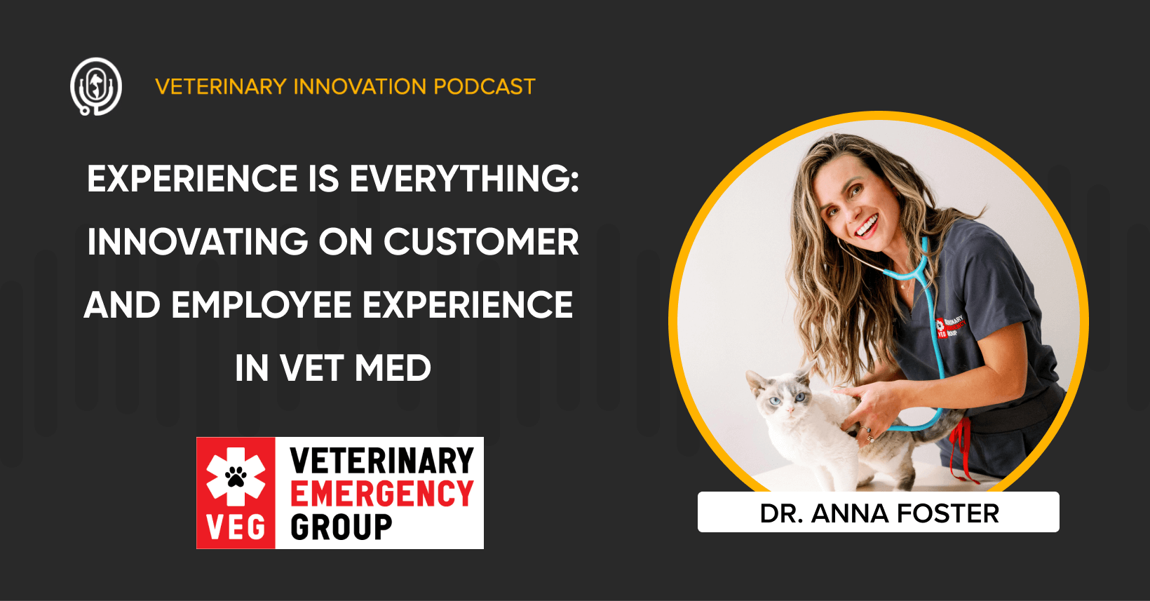 Innovating on Customer and Employee Experience in Vet Med